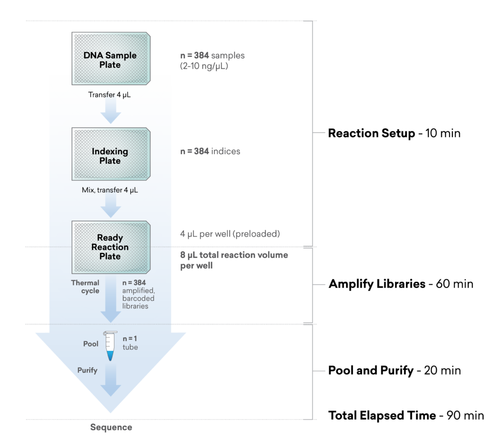 Plasmid and Amplicon Sequencing Archives - Decode Science