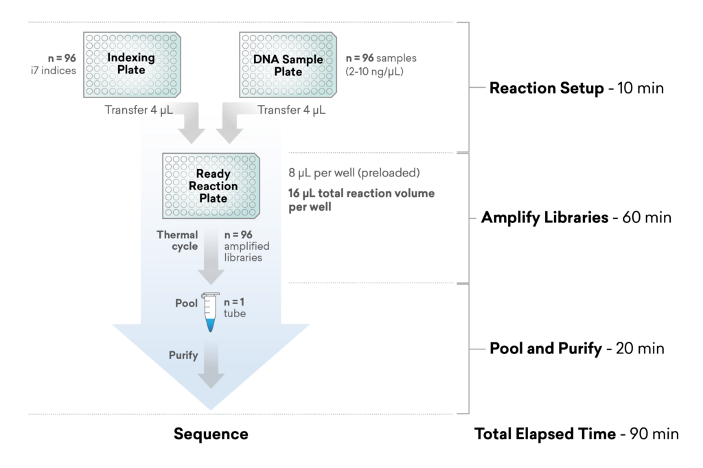 Plasmid and Amplicon Sequencing Archives - Decode Science