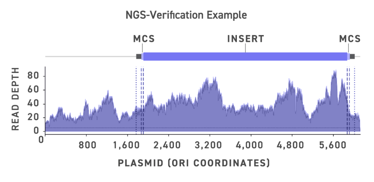 Synbio Genes Archives - Decode Science