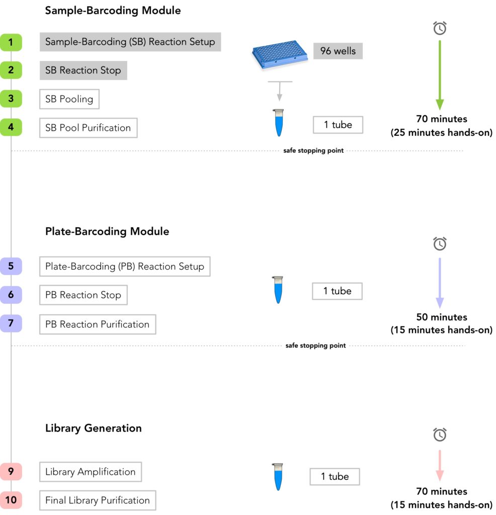 Plasmid and Amplicon Sequencing Archives - Decode Science
