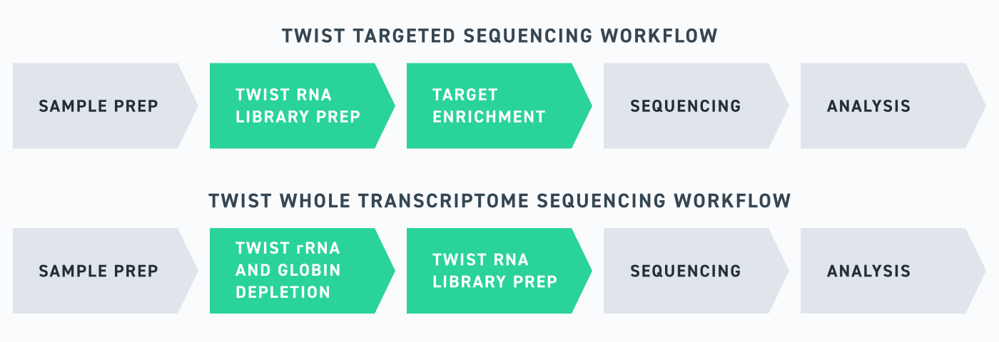 RNA Sequencing - Decode Science