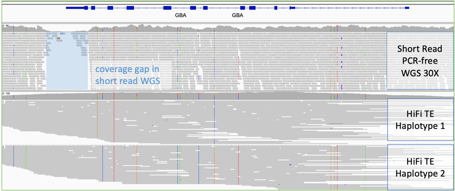 Twist Archives - Decode Science